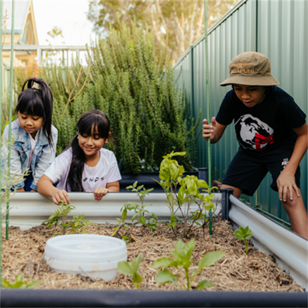 Cool composting and rad recycling (5 - 11 years) | Logan City Council
